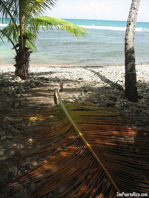 ZeePuertoRico.com - Guardarraya Beach